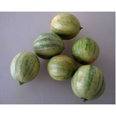 Limon Fidanı Çeşitleri - Yalova Su Fidan